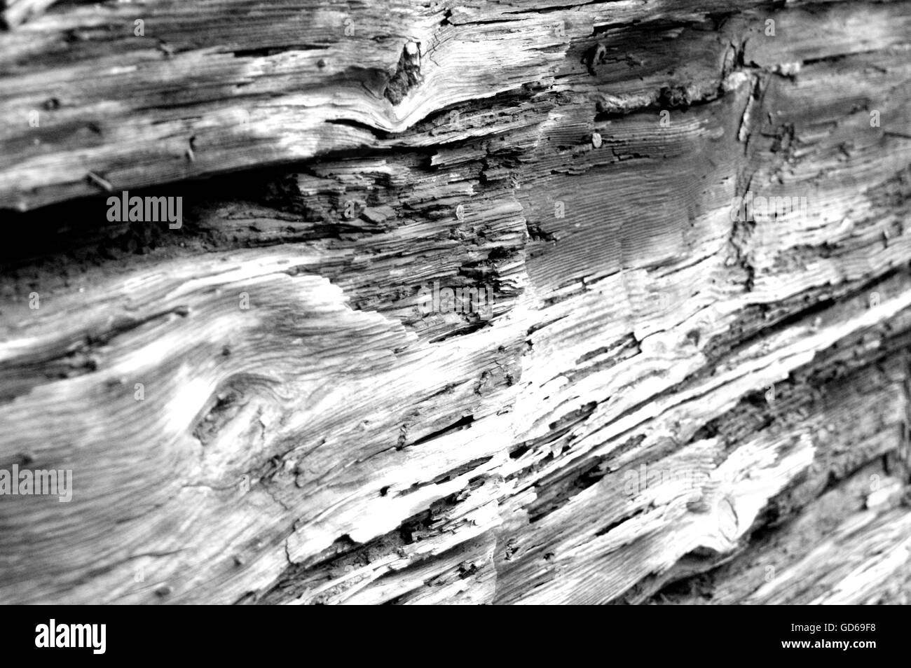 Wall, Wall art, Wall perspective, Wall surface, Wall structure, Wall ...
