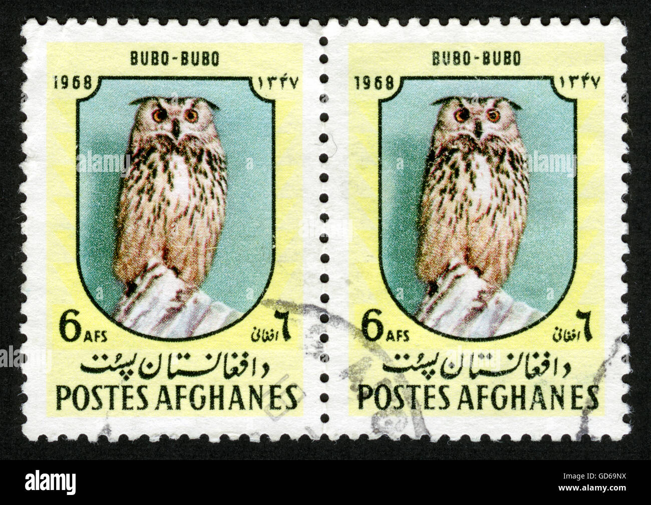 Vintage owl illustrations hi-res stock photography and images - Alamy