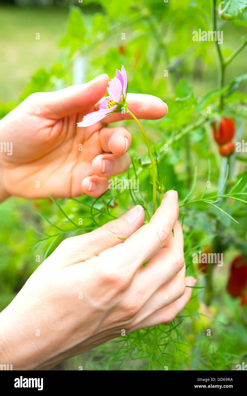 A young woman touching a flower in her Garden Stock Photo - Alamy
