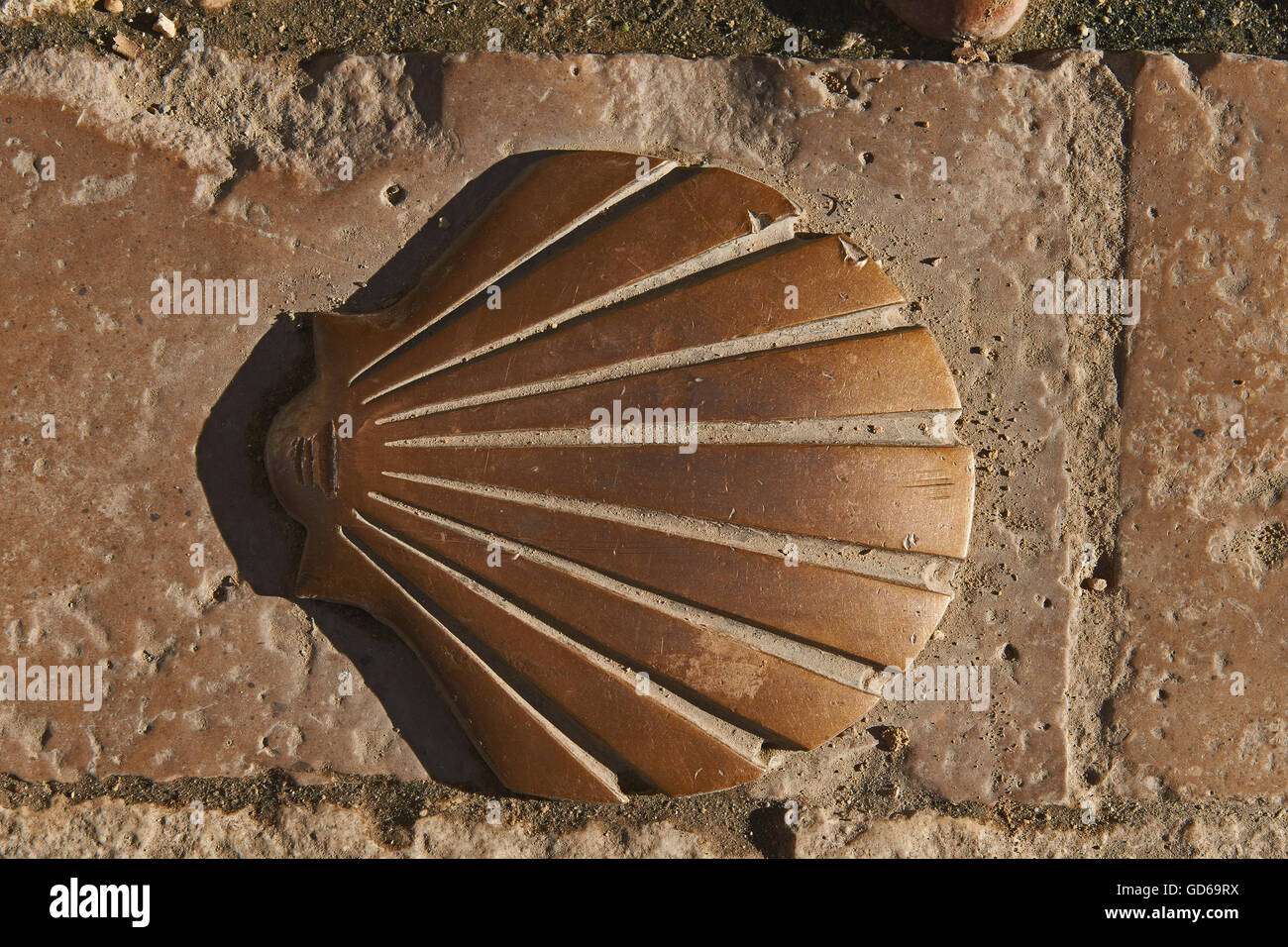 Shell emblem hi-res stock photography and images - Alamy