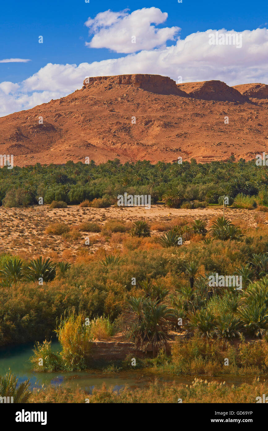 Tafilalet Oasis, Tafilalt Oasis, Ziz River, Gorges du Ziz, Ziz Valley ...