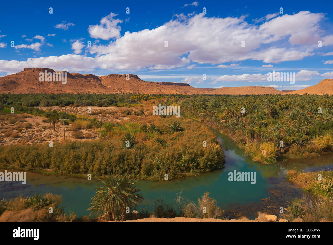 Tafilalt oasis hi-res stock photography and images - Alamy