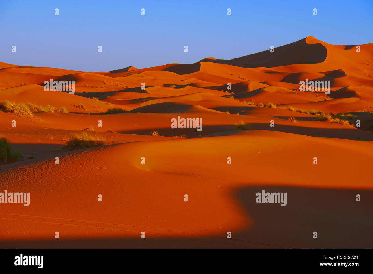 Merzouga, Erg Chebbi, Merzouga sand dunes, Sahara Desert, Morocco ...