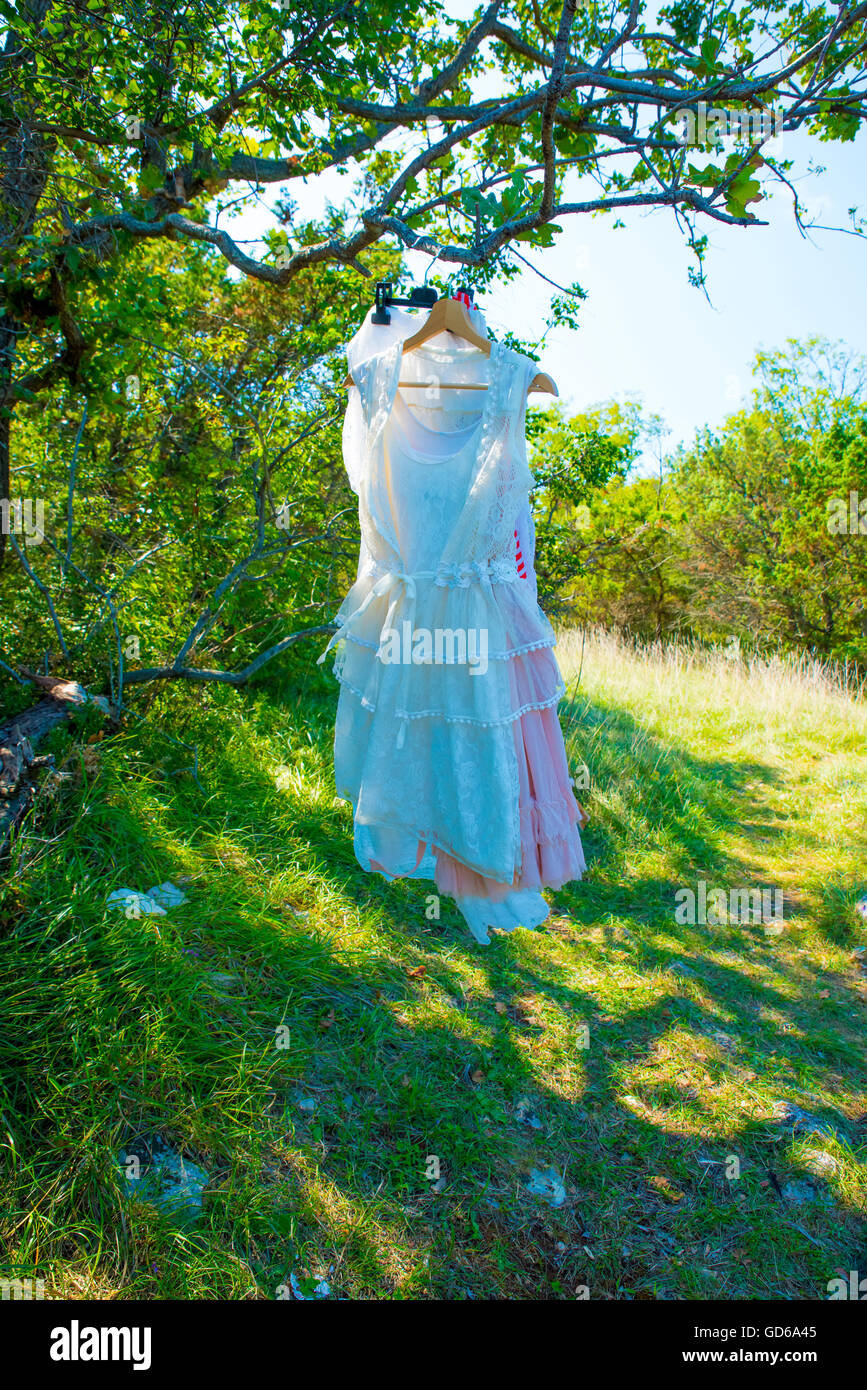 Beautiful woman dresses hanging on a tree in the wind in summer Stock ...
