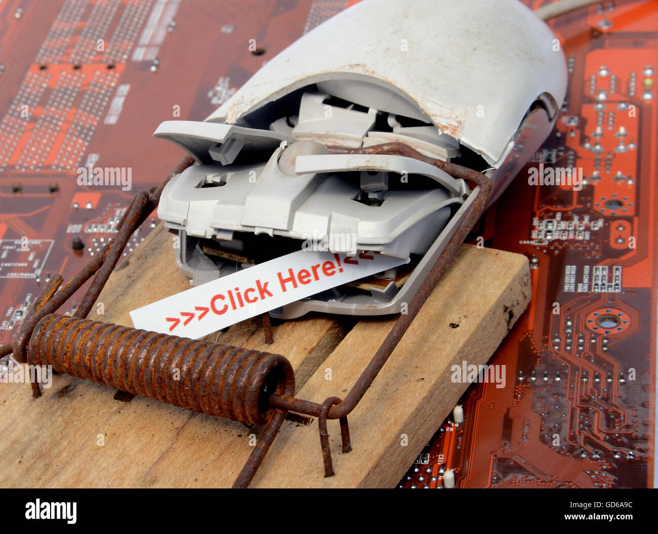 Computer mouse caught in a trap, with the bait Click here in its mouth ...