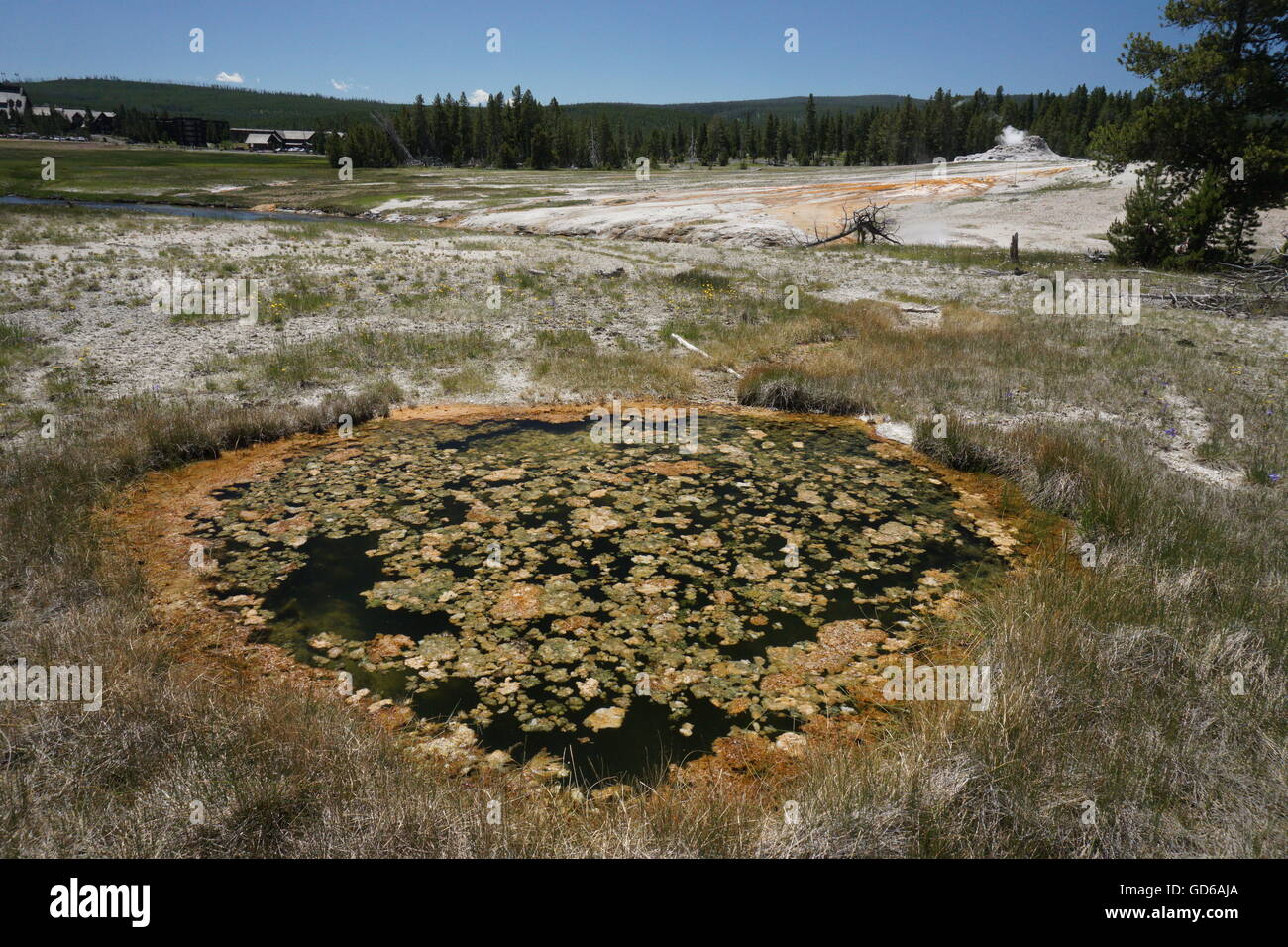 Blue pool yellowstone hi-res stock photography and images - Alamy