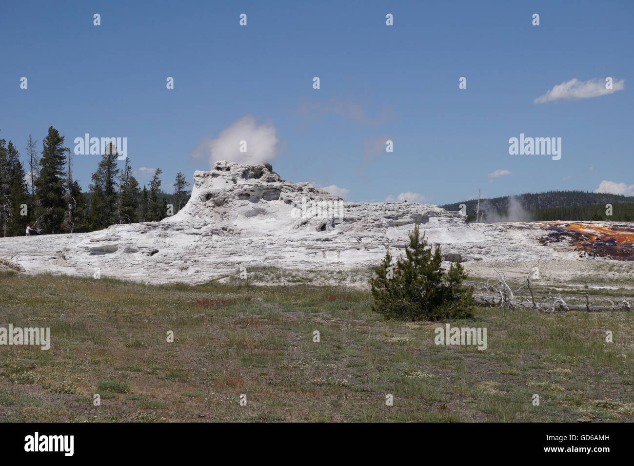 Castle Geyser, Upper Geyser Basin, Yellowstone National Park Stock ...