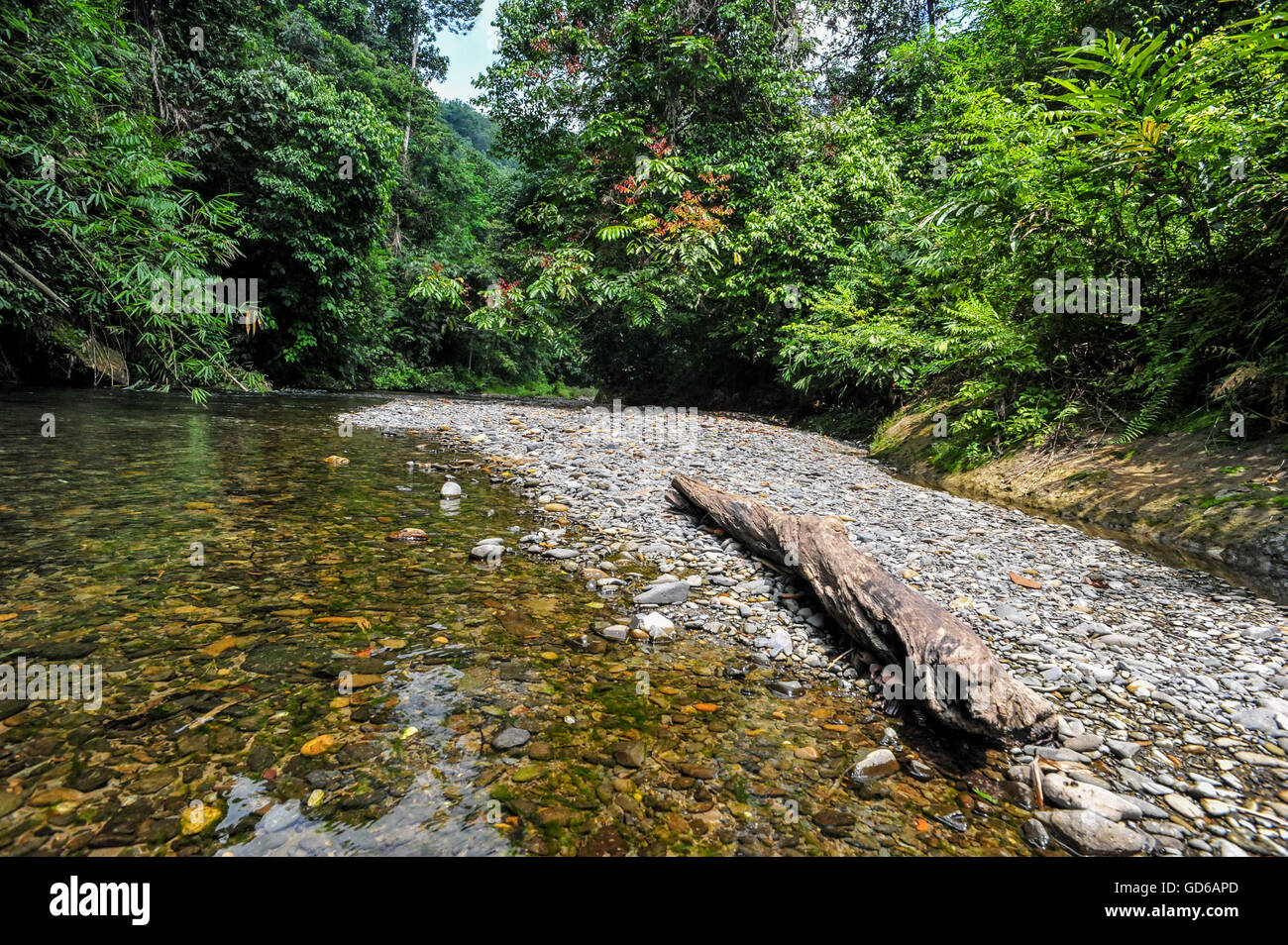 Landak river hi-res stock photography and images - Alamy