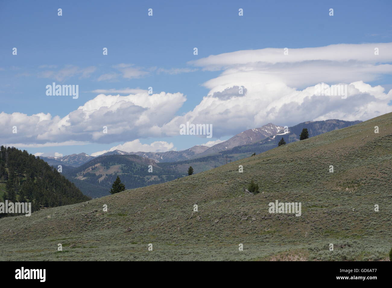 Wraith falls trail, North Yellowstone National Park Stock Photo - Alamy