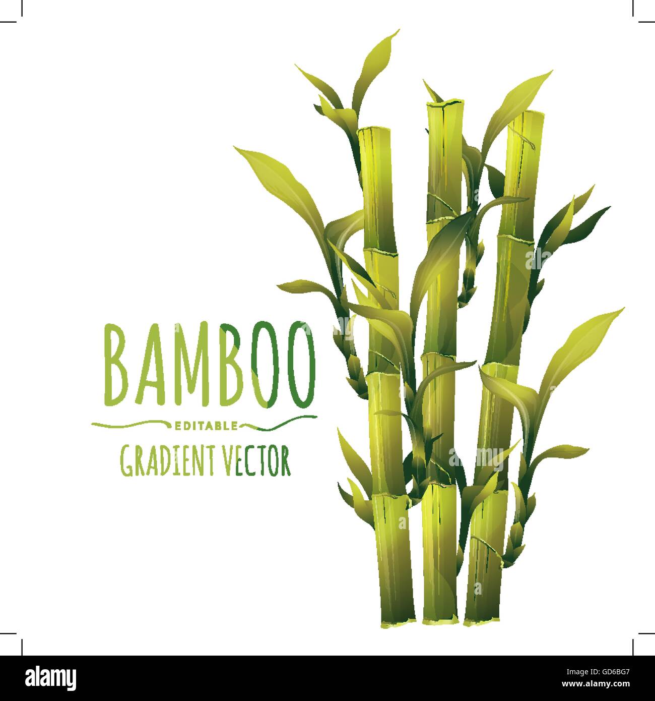 Bamboo Vector Illustration Stock Vector Image & Art - Alamy
