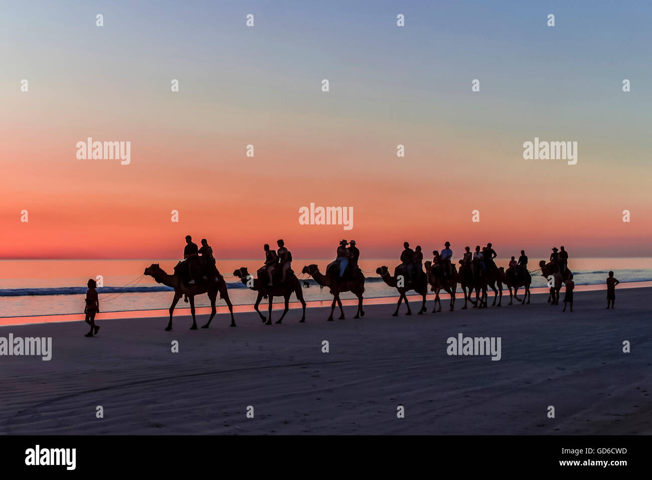 Camel rides at sunset on Cable Beach in Broome, Western Australia Stock ...