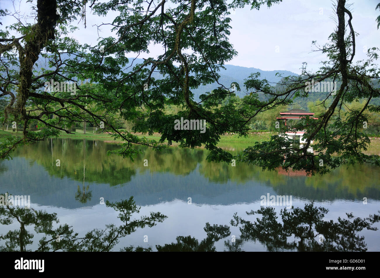 Taiping hi-res stock photography and images - Alamy
