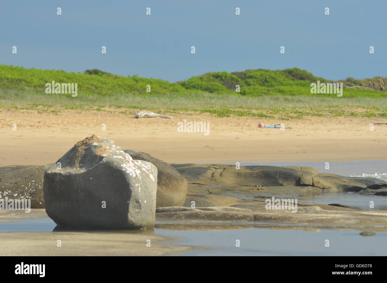A rock on a beach left standing by the falling tide Stock Photo - Alamy