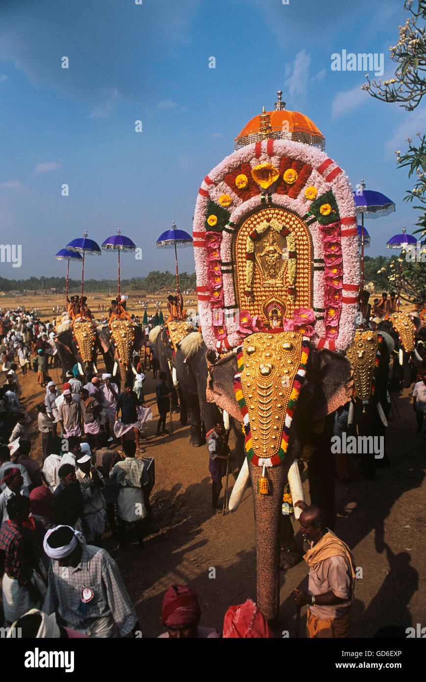 The vela hi-res stock photography and images - Alamy