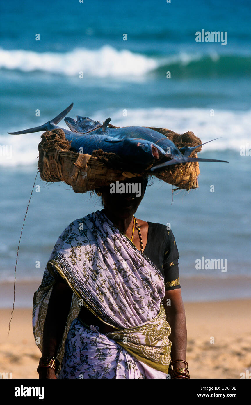 Fisherwoman hi-res stock photography and images - Alamy