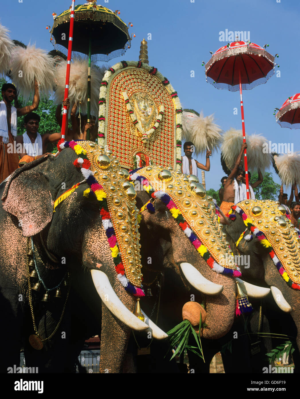 Pooram decorated elephant hi-res stock photography and images - Alamy