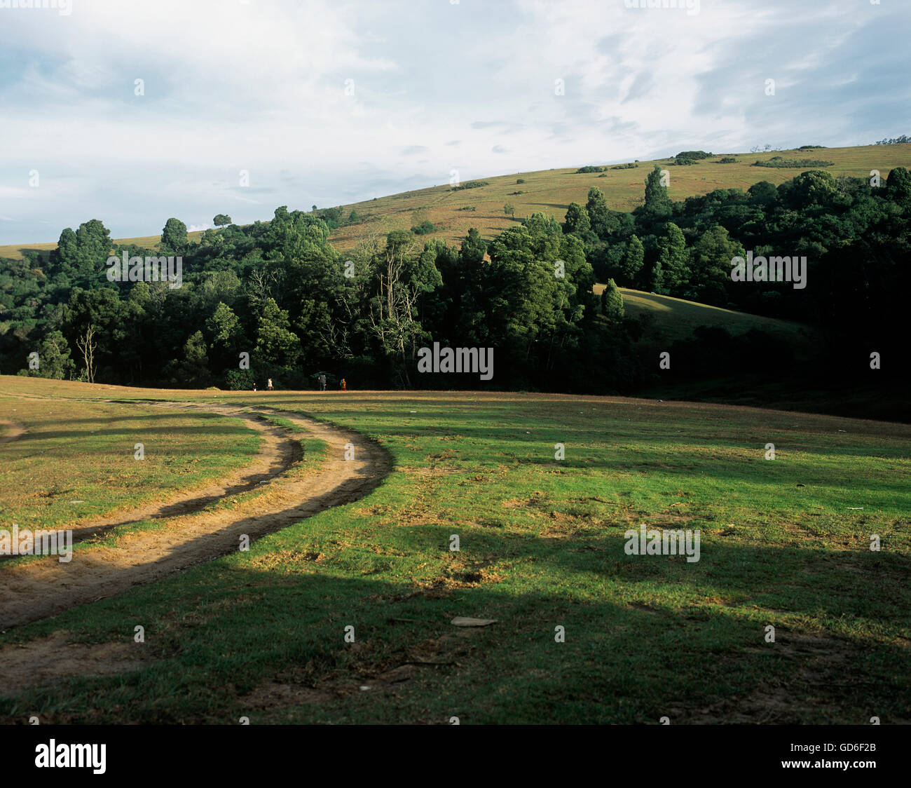 Nilgiris hills hi-res stock photography and images - Alamy