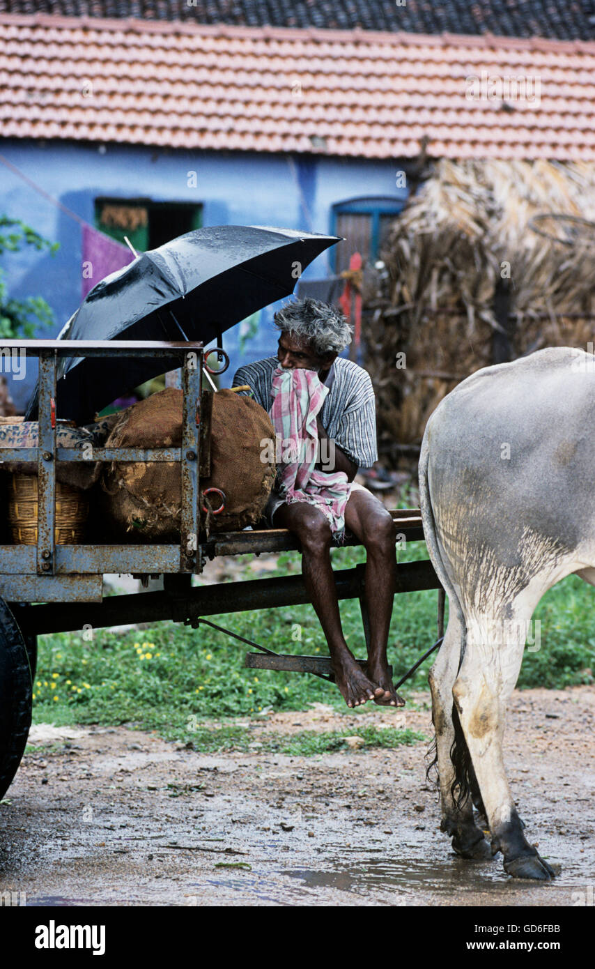 Old cart transportation hi-res stock photography and images - Alamy