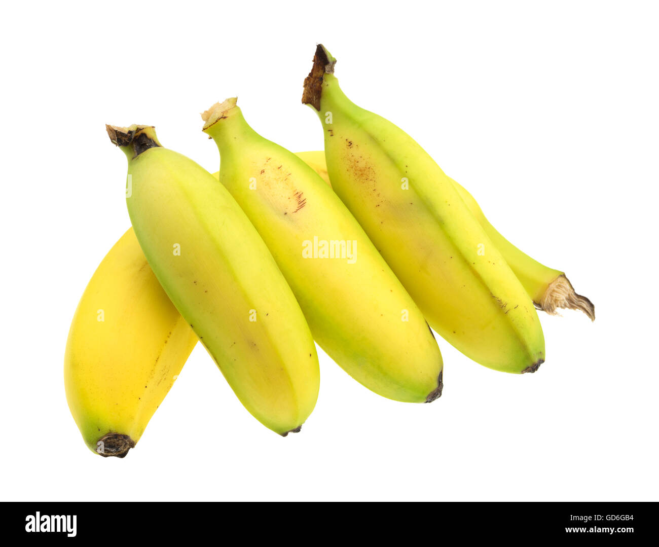 A group of three small bananas resting against a regular size banana ...