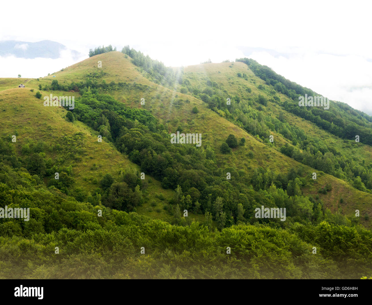 grass hill landscape Stock Photo - Alamy