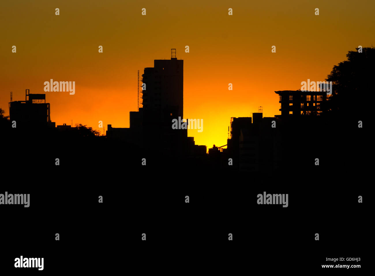 Sun light city trees hi-res stock photography and images - Alamy