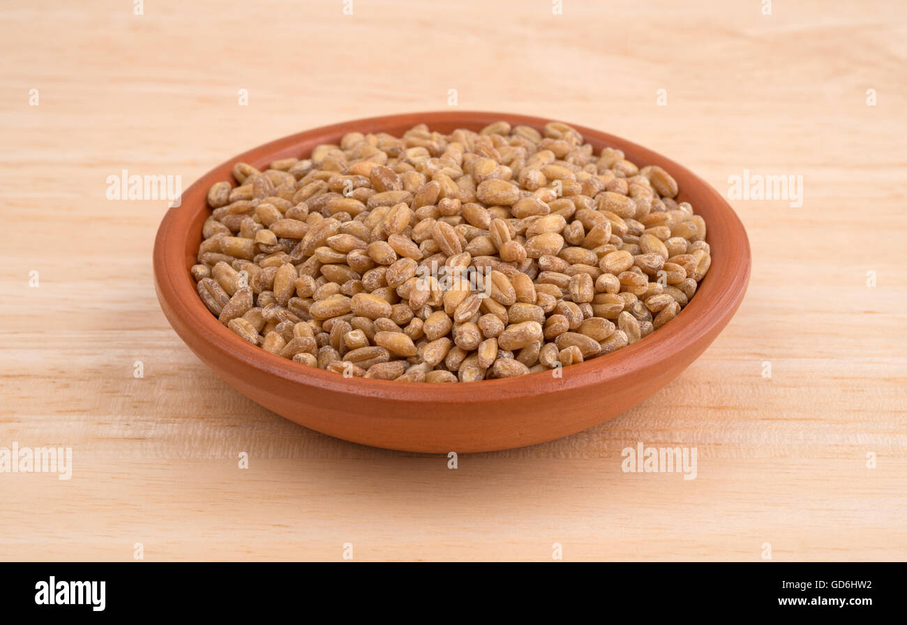 Side view of a small bowl filled with red winter wheat berries on a ...