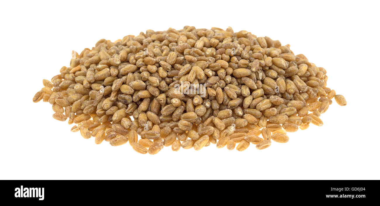 Side view of a portion of red winter wheat berries isolated on a white ...