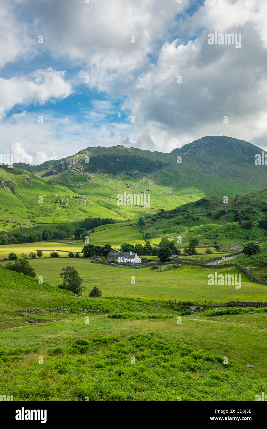 Fell Foot Farm in Little Langdale Valley at Langdale Pass surrounded by ...