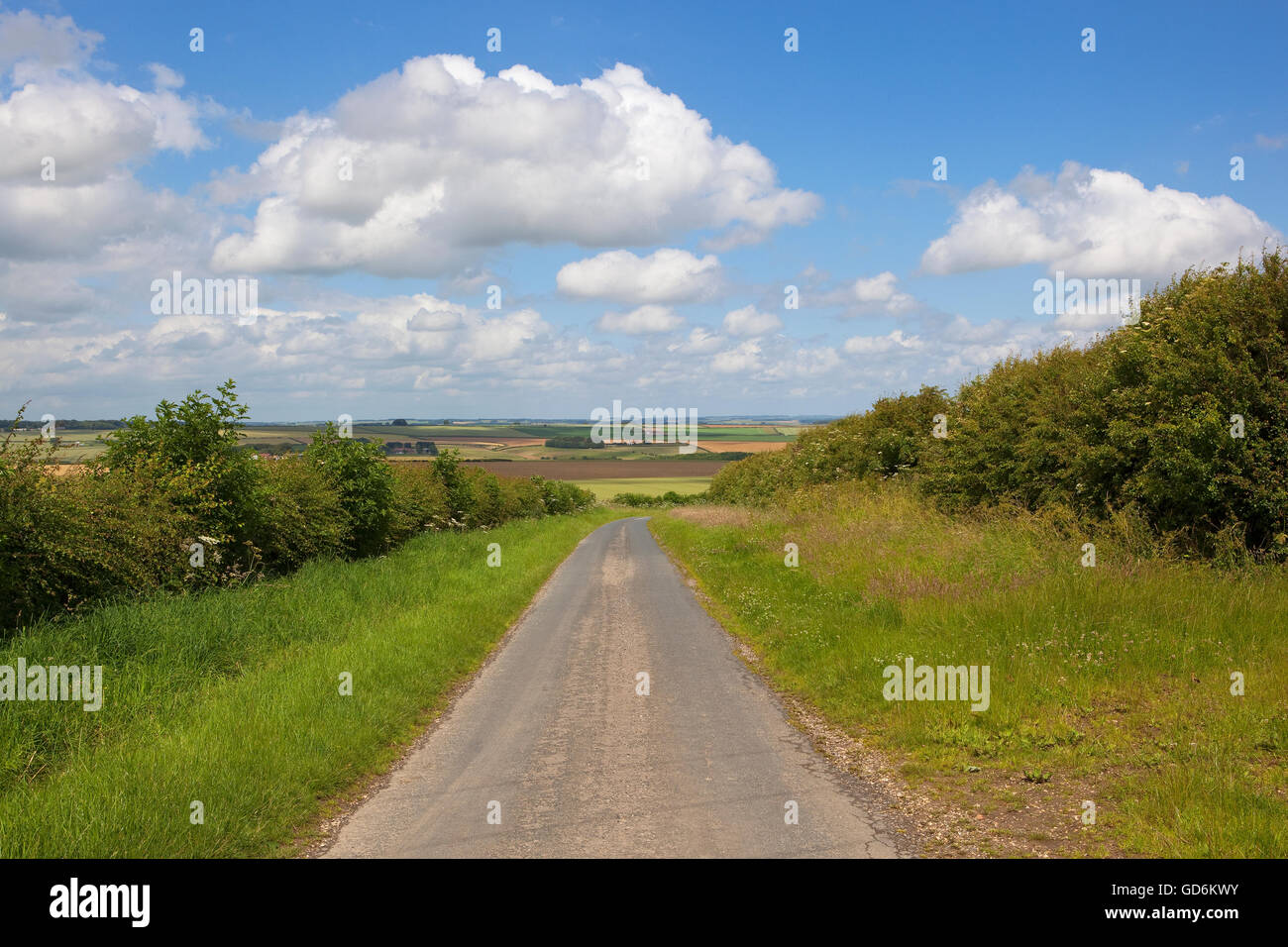 A small country road with hawthorn hedgerows and views of the Yorkshire ...