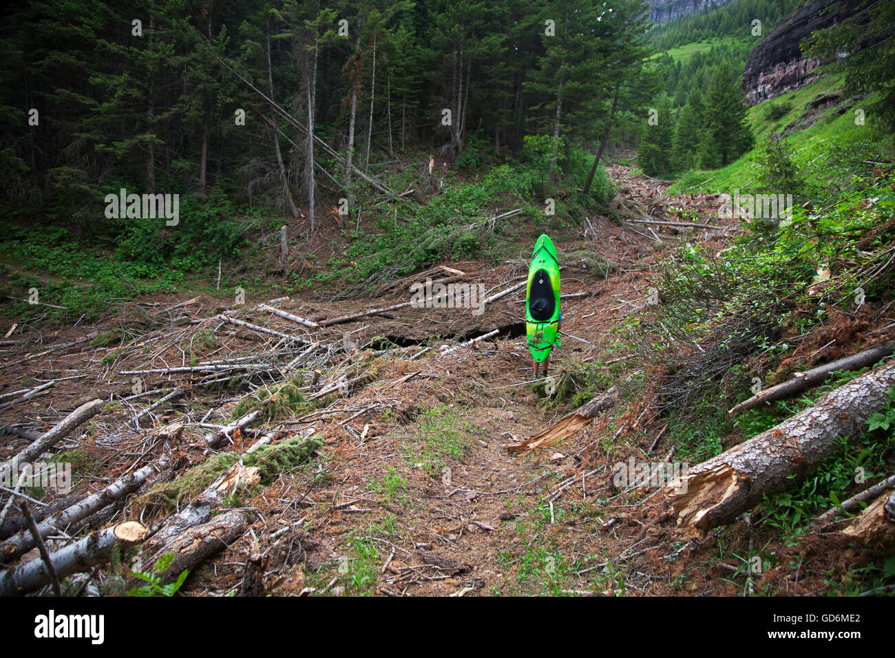A woman kayker carries a kayak through an avalanche path in the Great ...