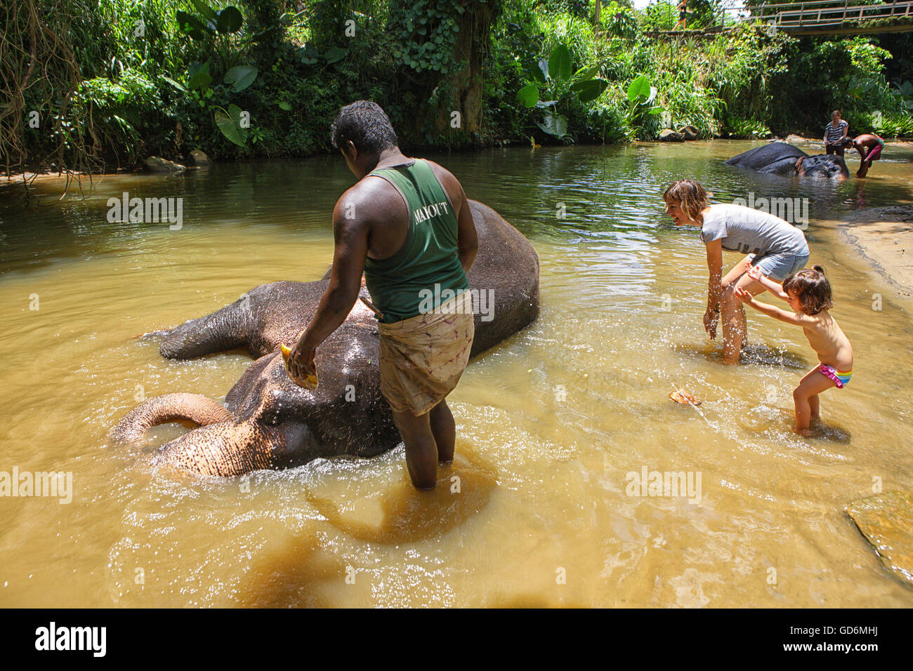 Elephants and man hi-res stock photography and images - Alamy