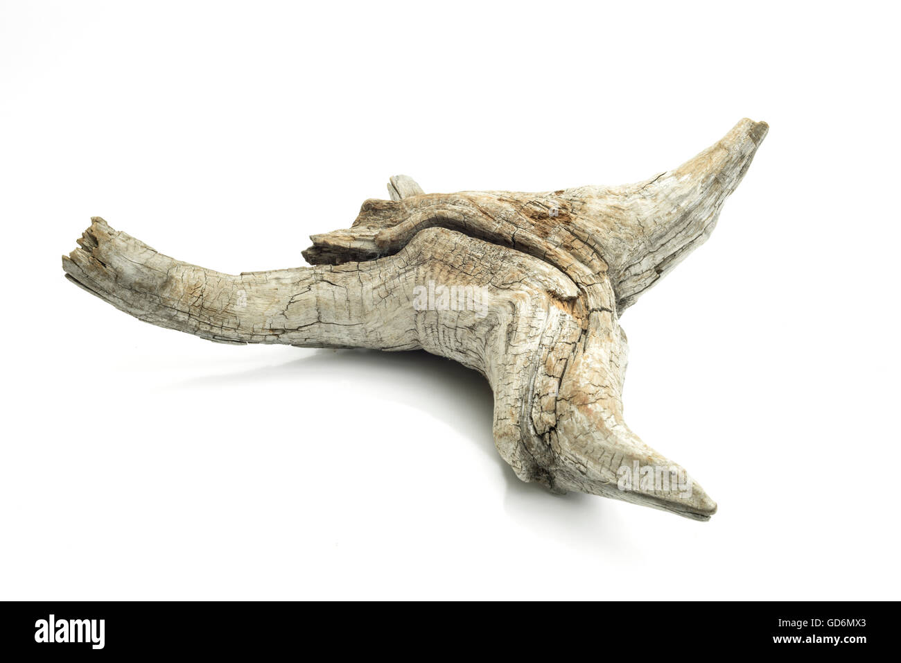 Sculpted texture Cut Out Stock Images & Pictures - Alamy