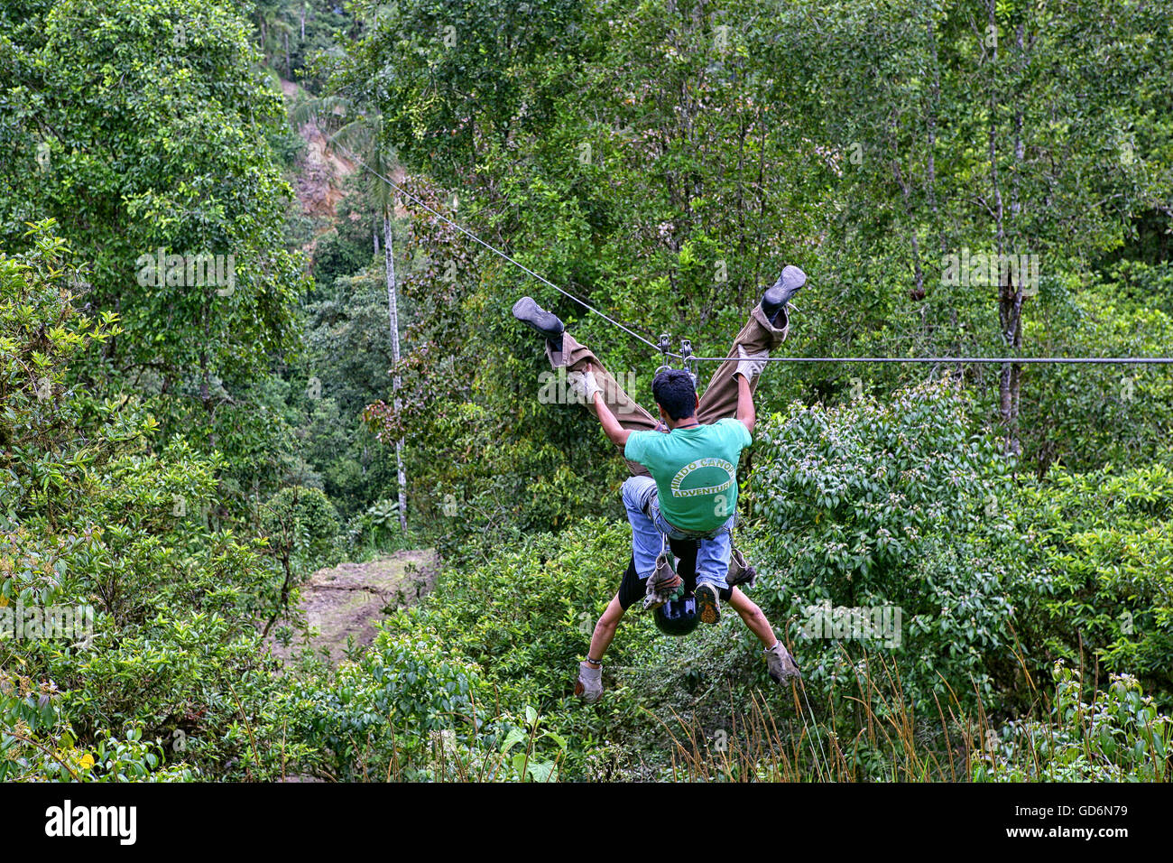 Tourist practicing zip line on a canopy in Ecuador arborea Stock Photo ...