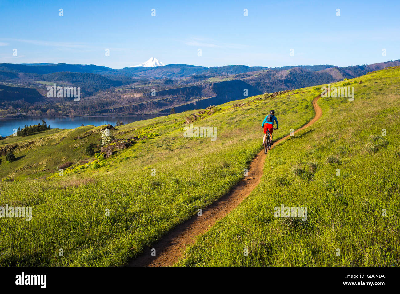 A young woman rides a mountain bike on a single-track trail through ...