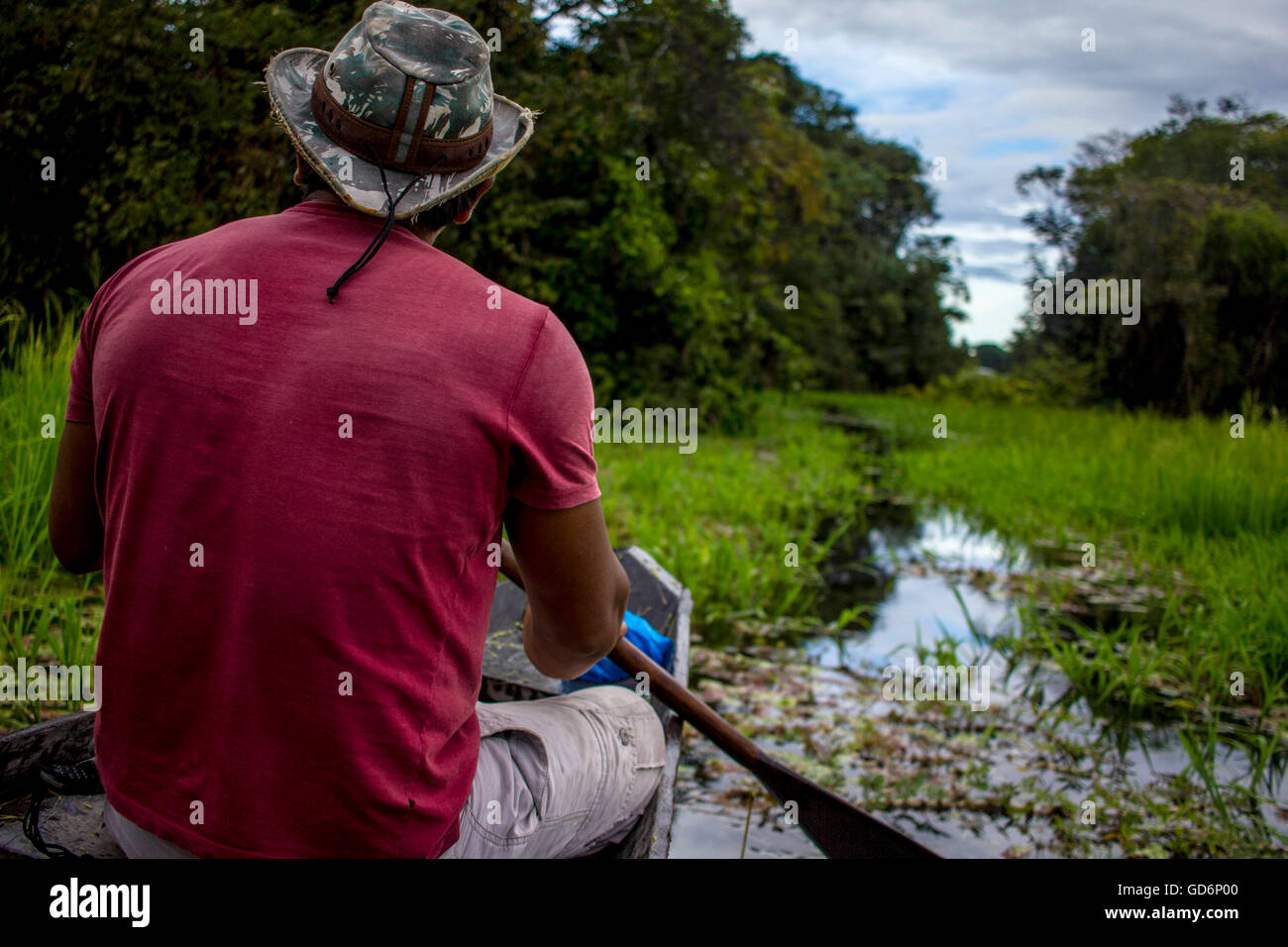 Local man travels through swampy area in Brazil Stock Photo - Alamy
