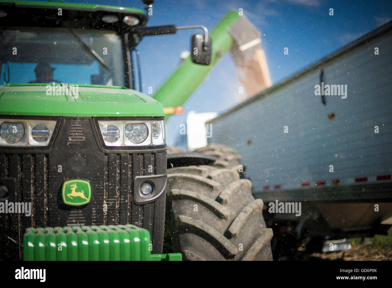 Grain hauler off loading corn into semi for transport Stock Photo - Alamy