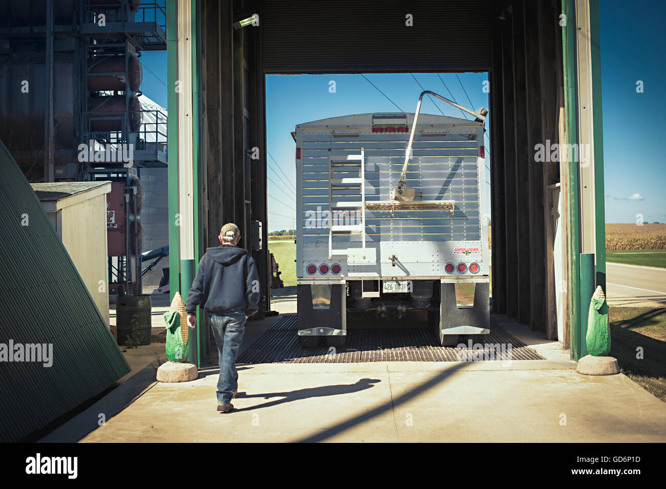 Farmer walking back after off loading corn from semi to grain silos ...