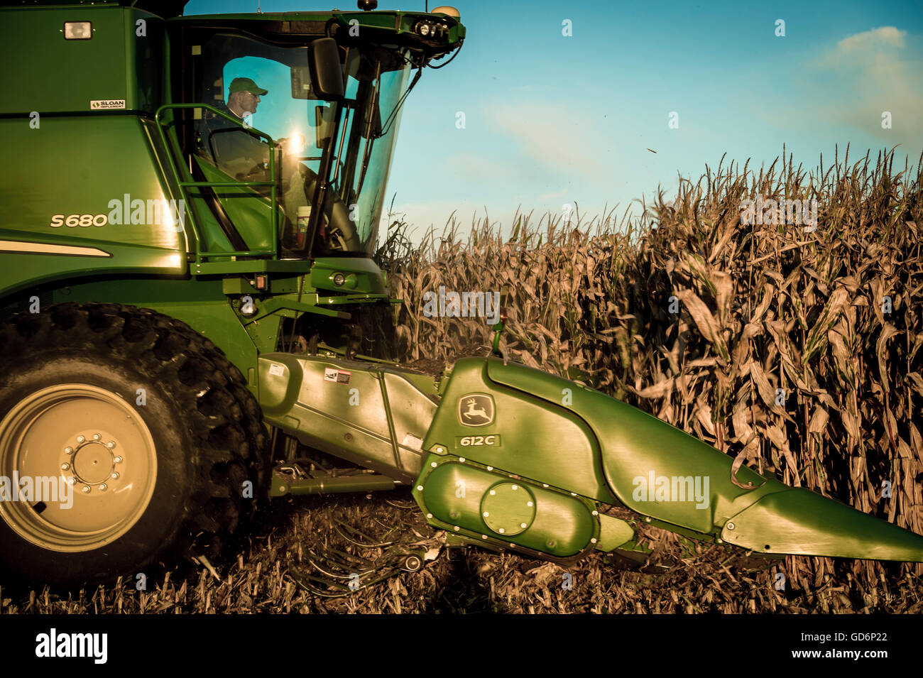 Combine harvesting corn during sunset Stock Photo - Alamy