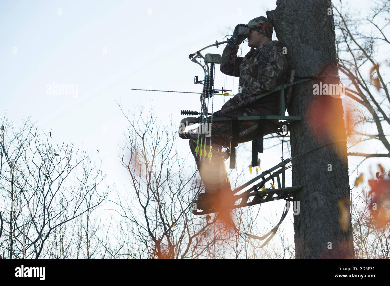 Bow hunter tree stand hi-res stock photography and images - Alamy