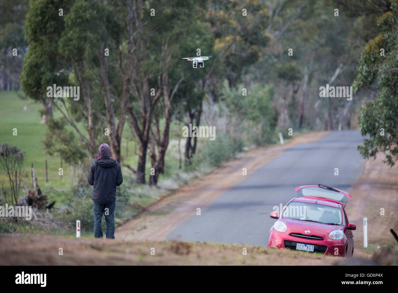 Victoria flies hi-res stock photography and images - Alamy