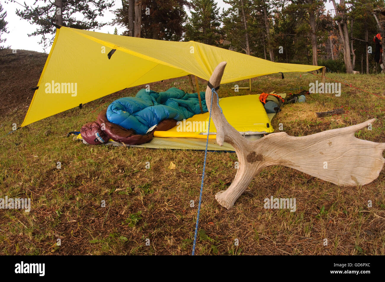 Wood mountain biking chilcotin hi-res stock photography and images - Alamy