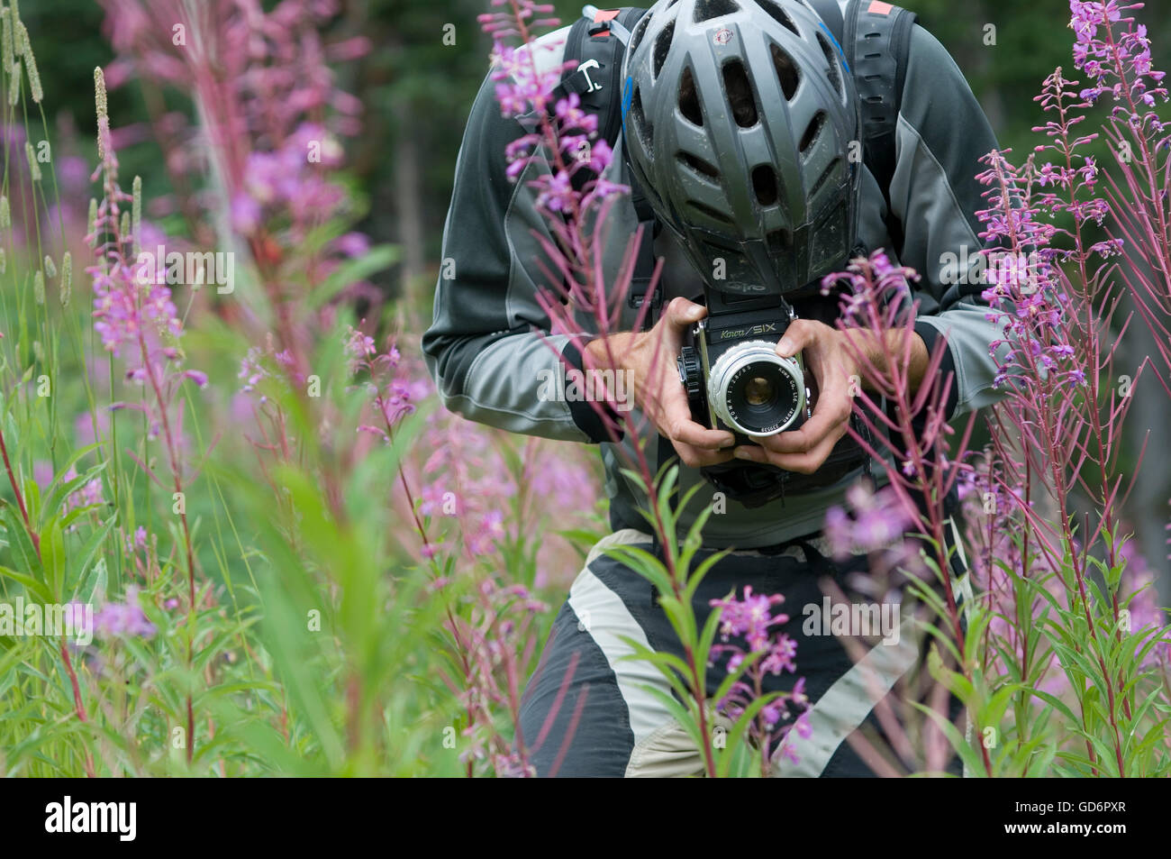 Mountain biking in the South Chilcotin Mountains wilderness. Gold ...