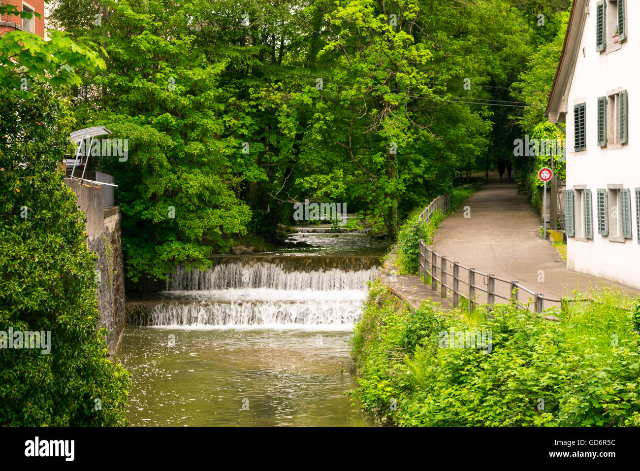 City view of river and trees in Zurich Stock Photo - Alamy