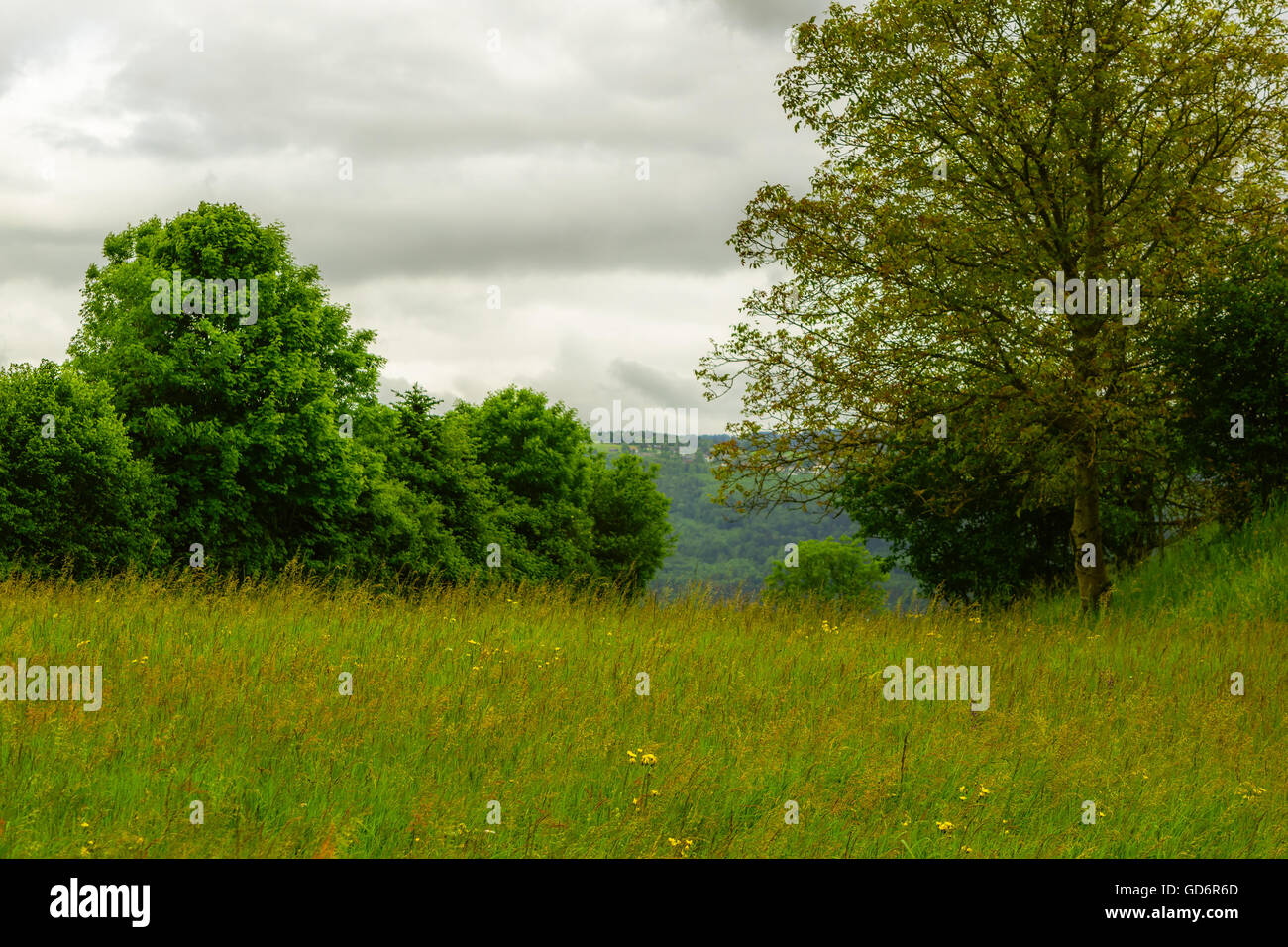Green field with dramatic sky in Switzerland Stock Photo - Alamy