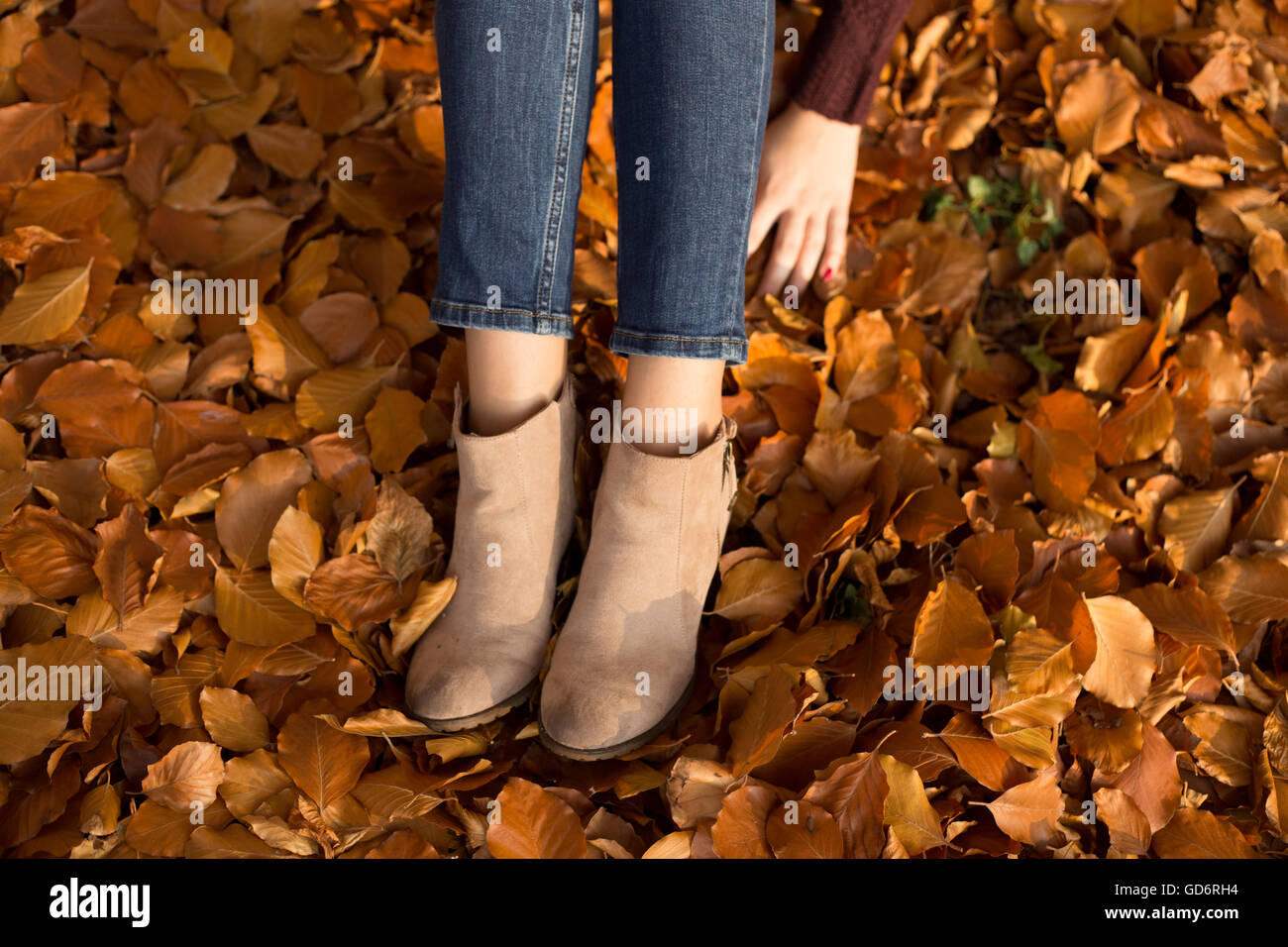 Legs in autumn leaf Stock Photo - Alamy