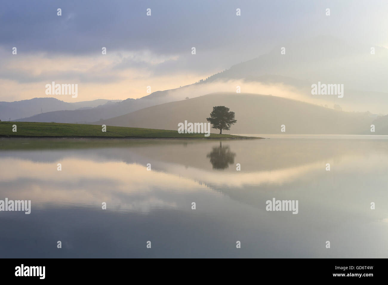 Alone tree in lake Stock Photo - Alamy