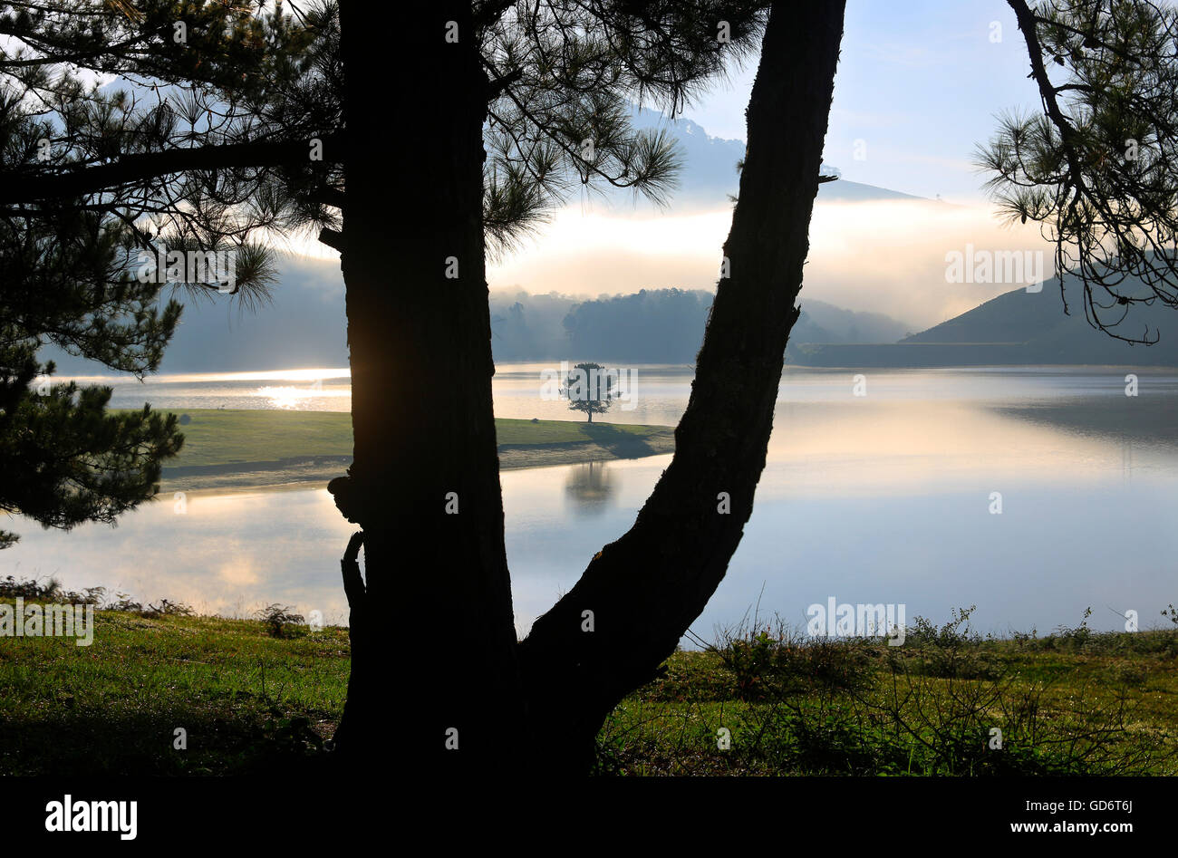 Alone tree by lake Stock Photo - Alamy