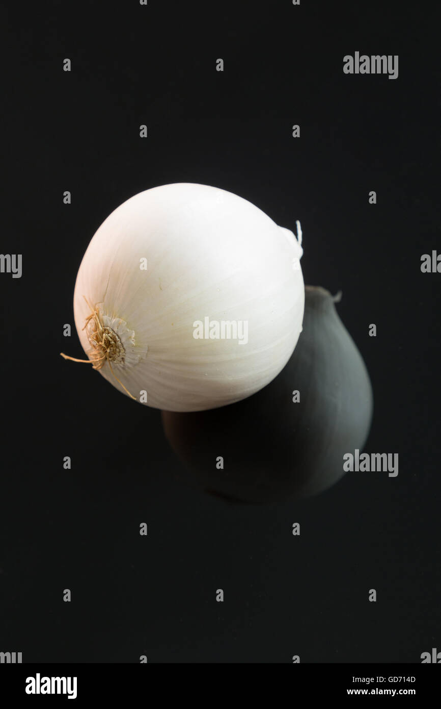 Three whole fresh raw white onions on a reflective black background ...