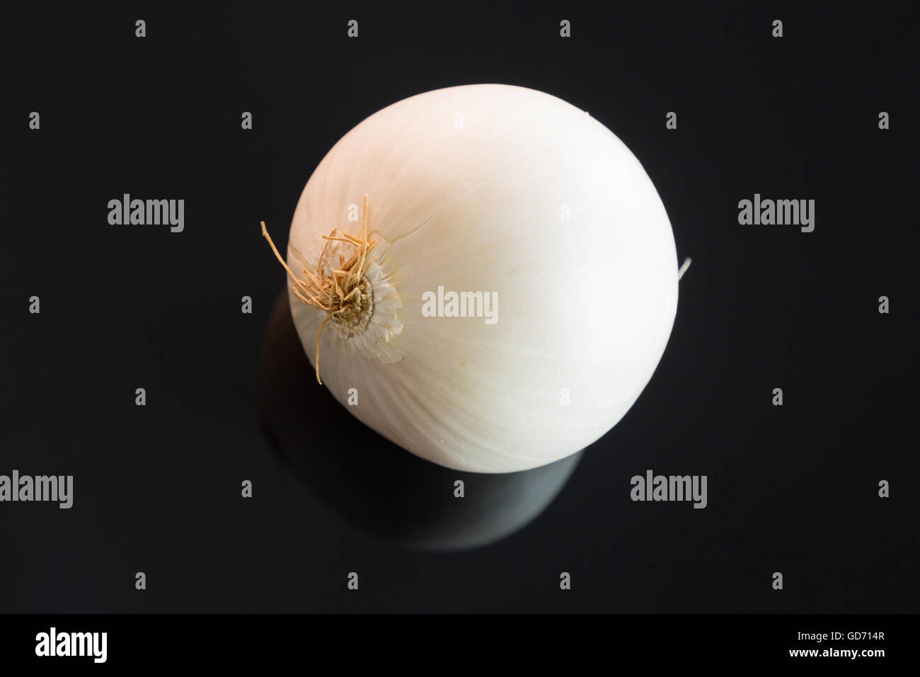 Three whole fresh raw white onions on a reflective black background ...