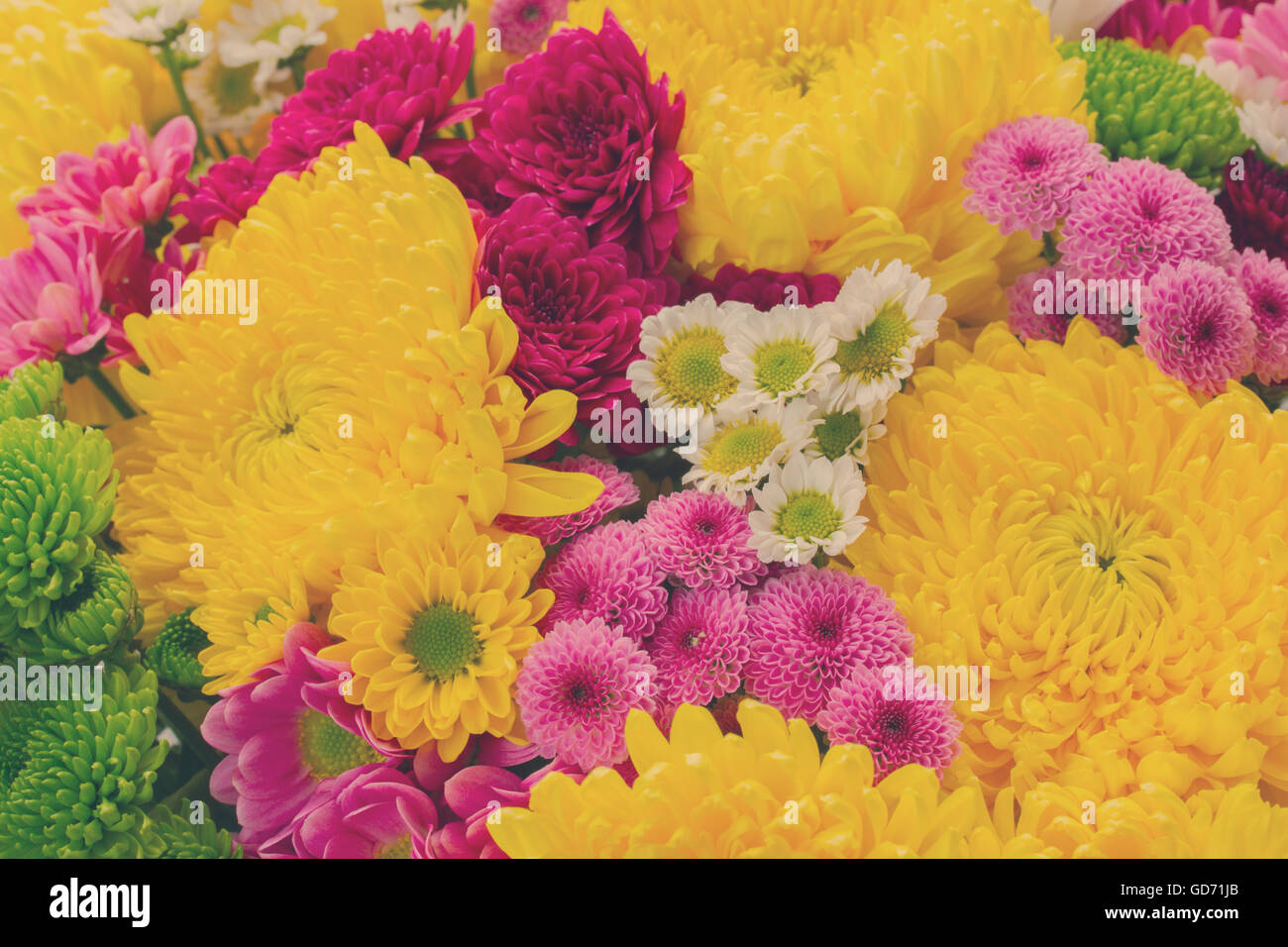 Bunch of mum flowers Stock Photo - Alamy